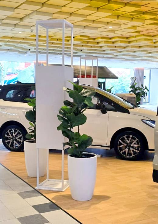 Faux Ficus Lyrata Tree In Fibre Large White Planter (Est 180cmH ...